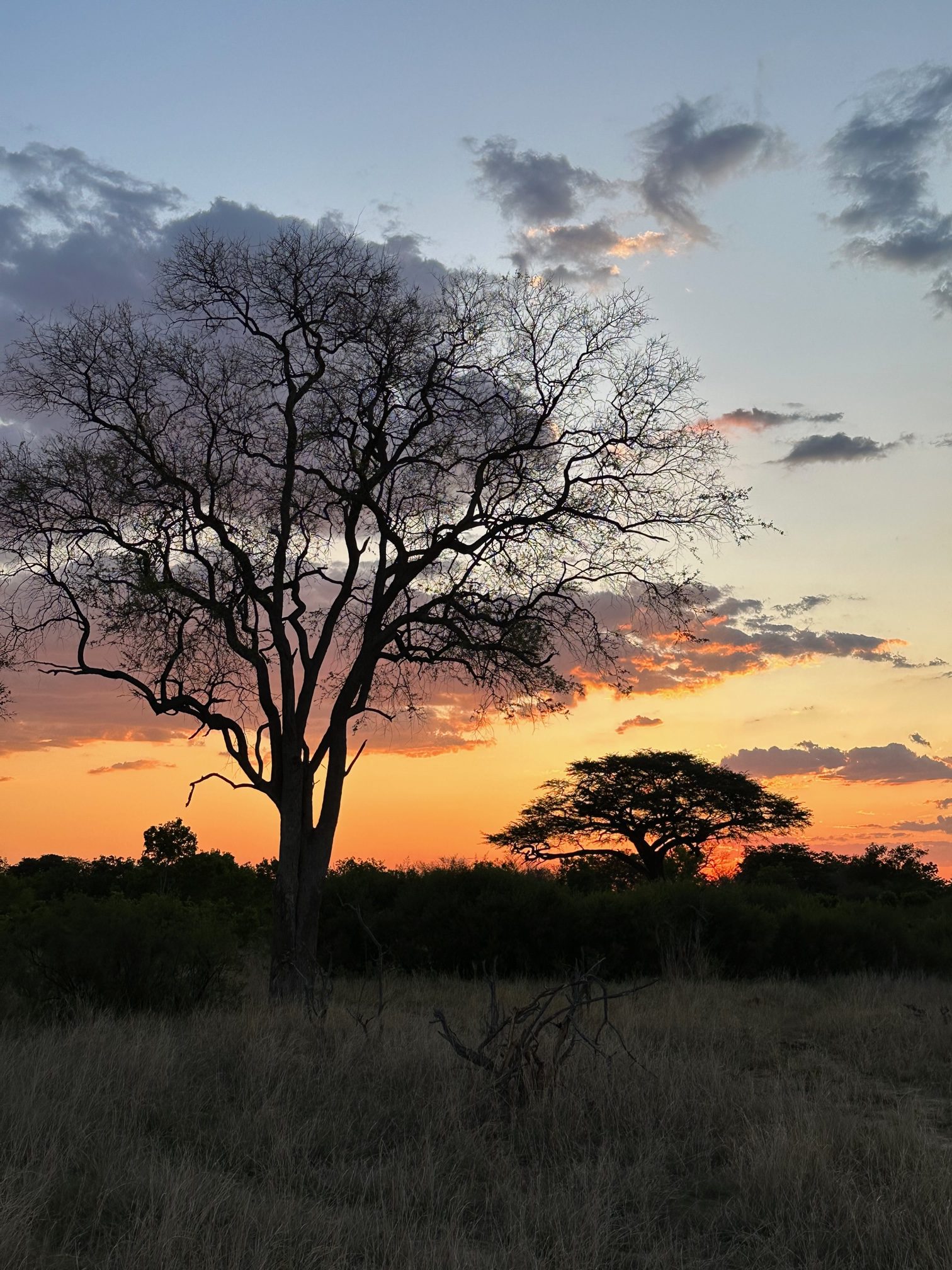 African Landscape - Explore Now